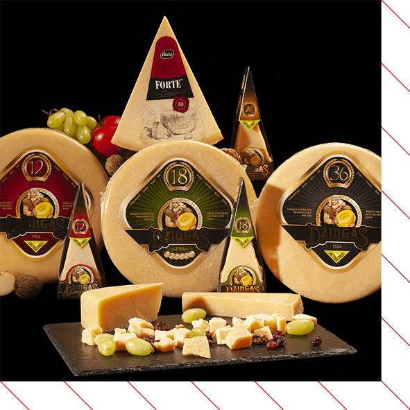 Sýry - AGLO Trading, s.r.o.